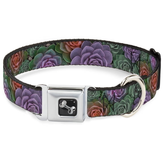 Buckle-Down Pet Collar, Dog Collar Metal Seatbelt Buckle, Succulents ...