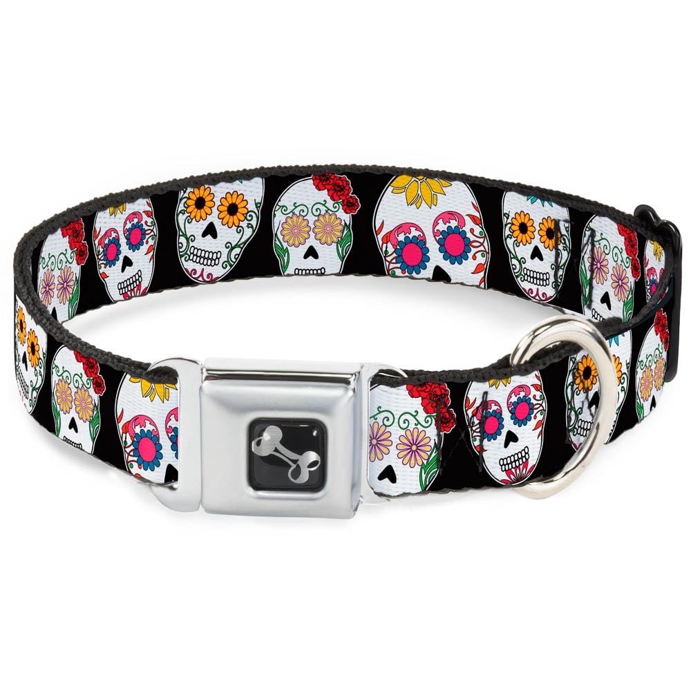 Buckle-Down Pet Collar, Dog Collar Metal Seatbelt Buckle, Sugar Skull ...