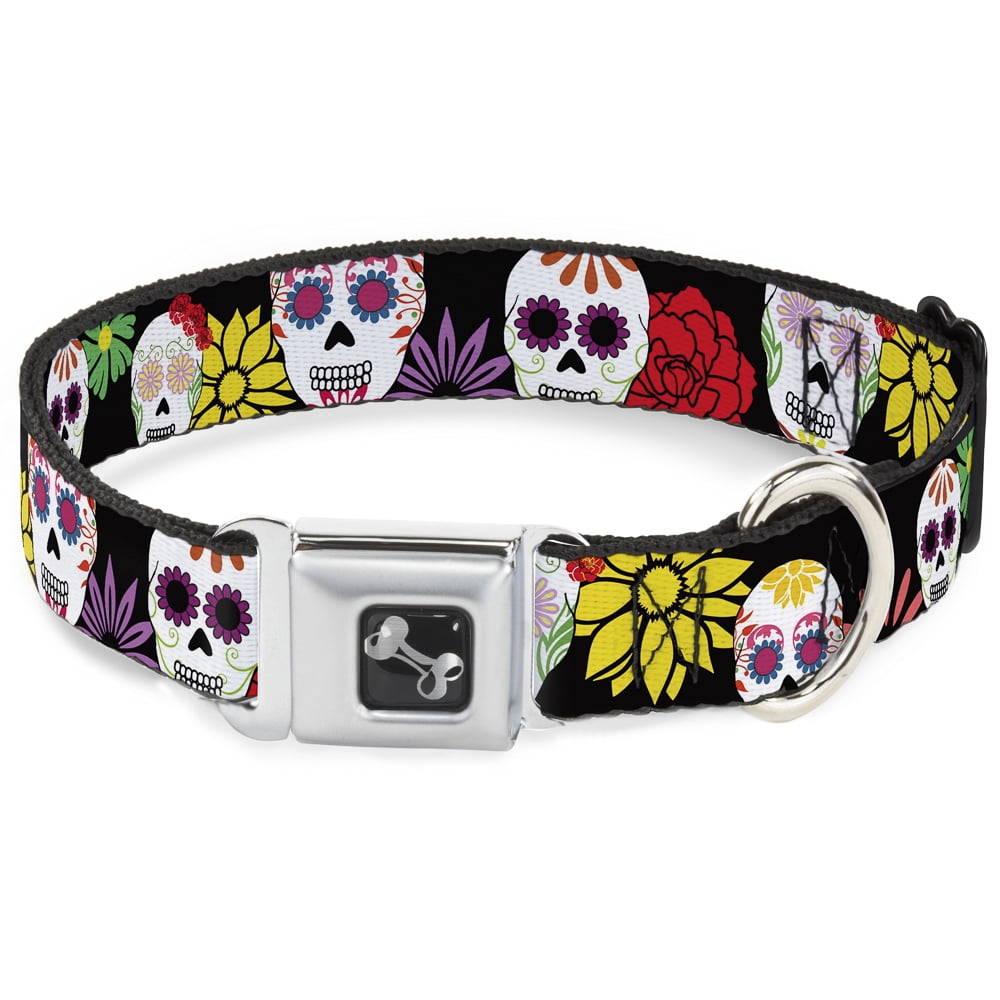 Buckle-Down Pet Collar, Dog Collar Metal Seatbelt Buckle, Sugar Skulls ...