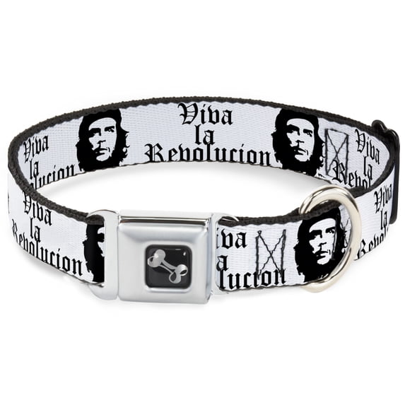 Buckle-Down Pet Collar, Dog Collar Metal Seatbelt Buckle, Viva La ...