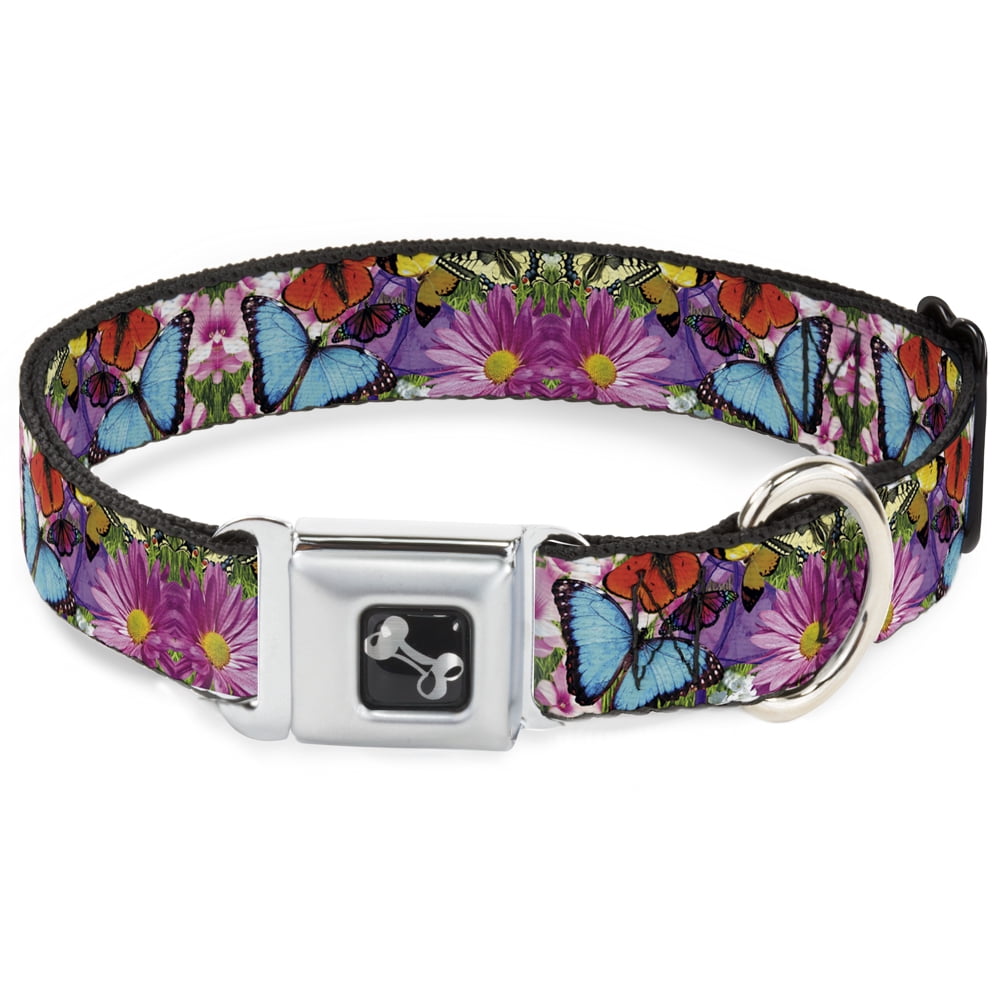 Buckle-Down Pet Collar, Dog Collar Metal Seatbelt Buckle, Vivid ...