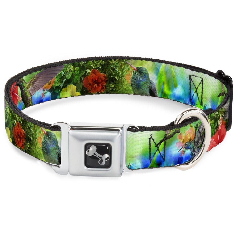 Buckle-Down Pet Collar, Dog Collar Metal Seatbelt Buckle, Vivid ...