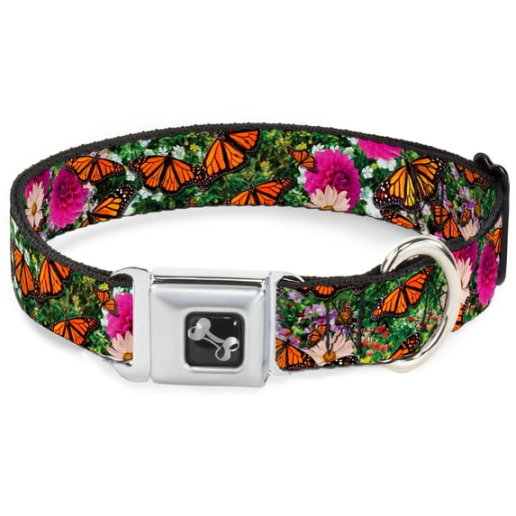 Buckle-Down Pet Collar, Dog Collar Metal Seatbelt Buckle, Vivid Monarch ...