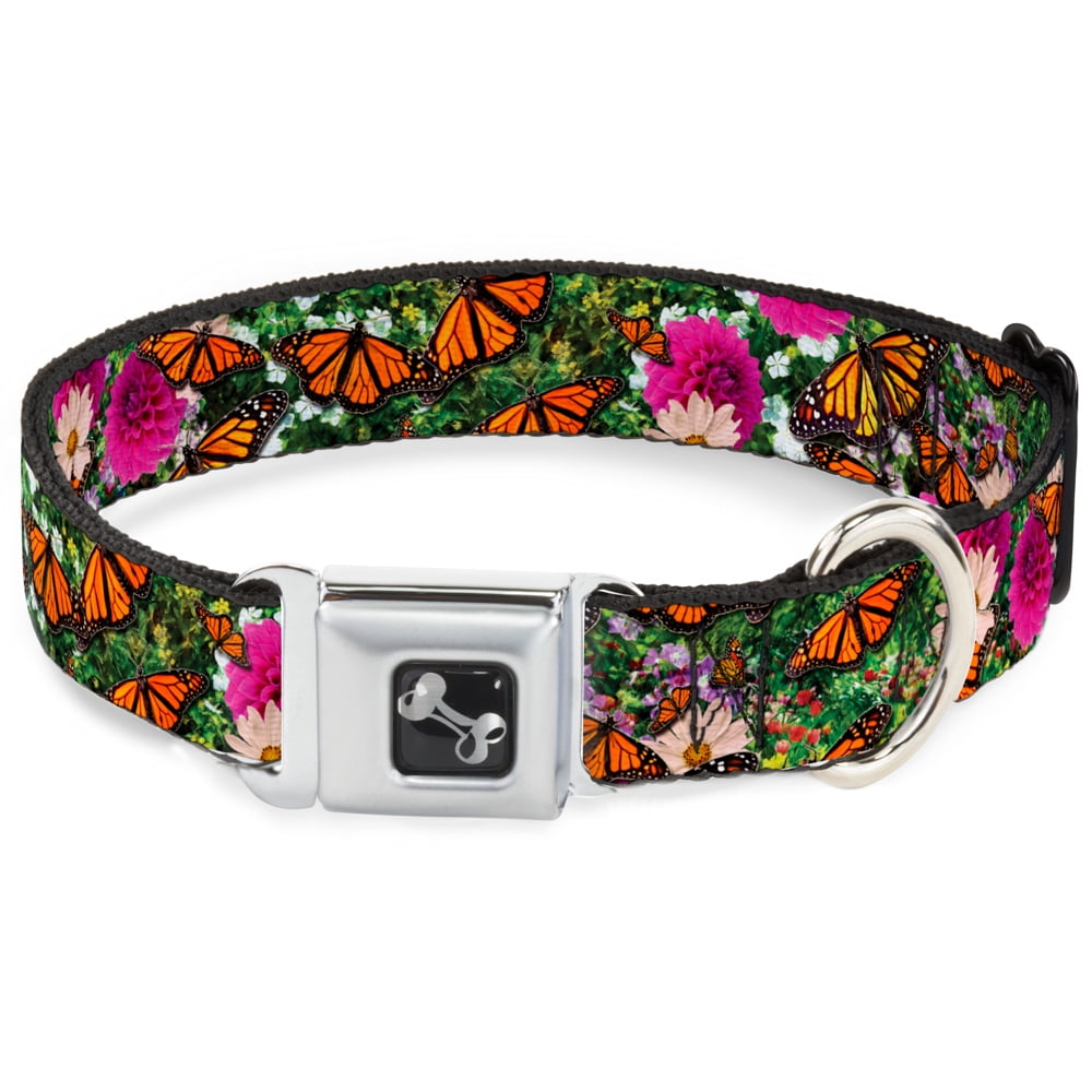 Buckle-Down Pet Collar, Dog Collar Metal Seatbelt Buckle, Vivid Monarch ...
