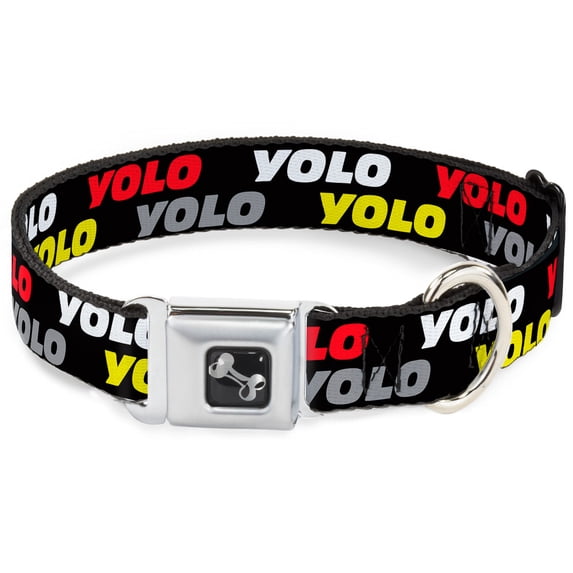 Buckle-Down Pet Collar, Dog Collar Metal Seatbelt Buckle, YOLO Black ...