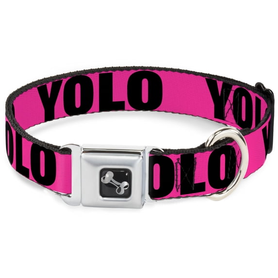 Buckle-Down Pet Collar, Dog Collar Metal Seatbelt Buckle, YOLO Pink ...