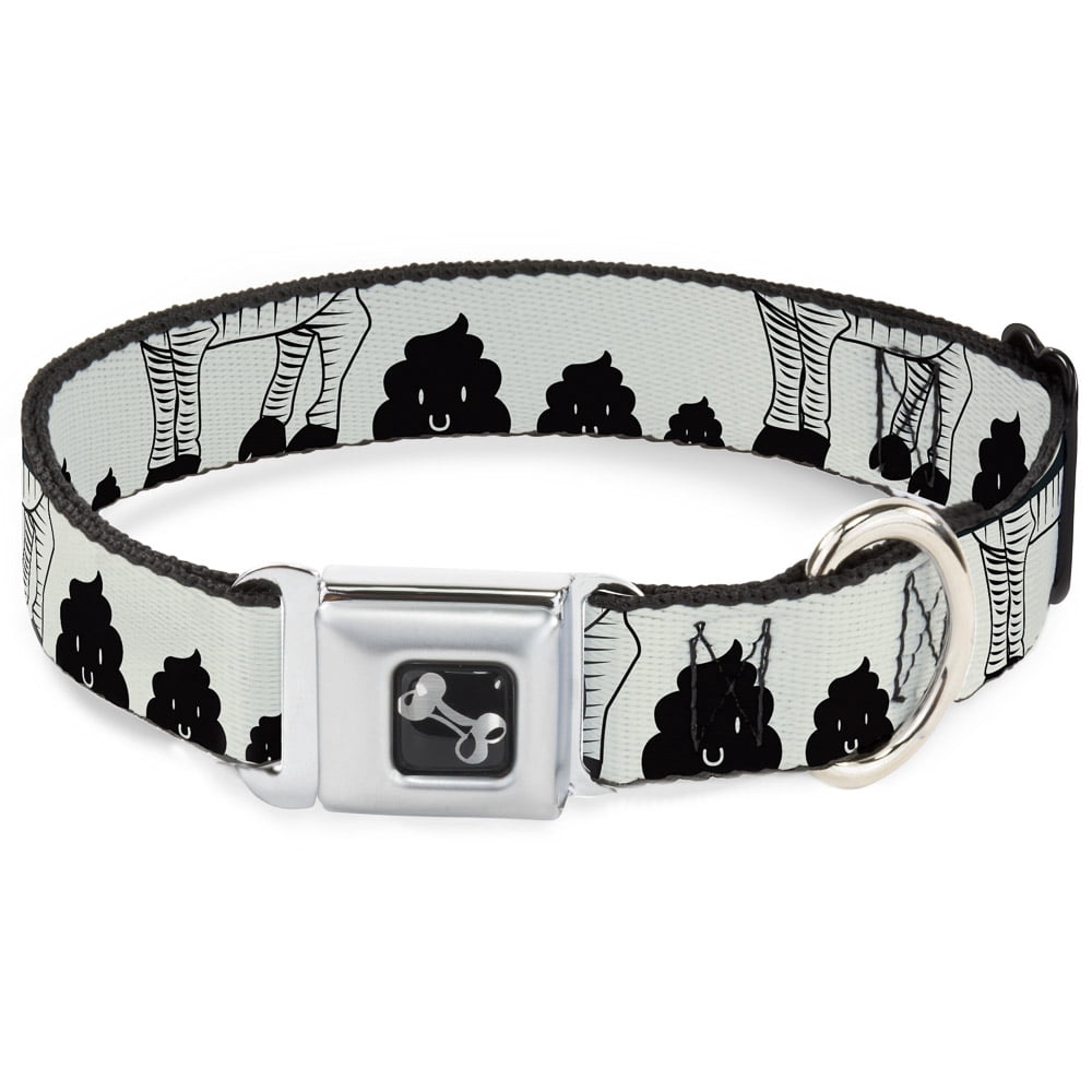 Buckle-Down Pet Collar, Dog Collar Metal Seatbelt Buckle, Zebra Poops ...