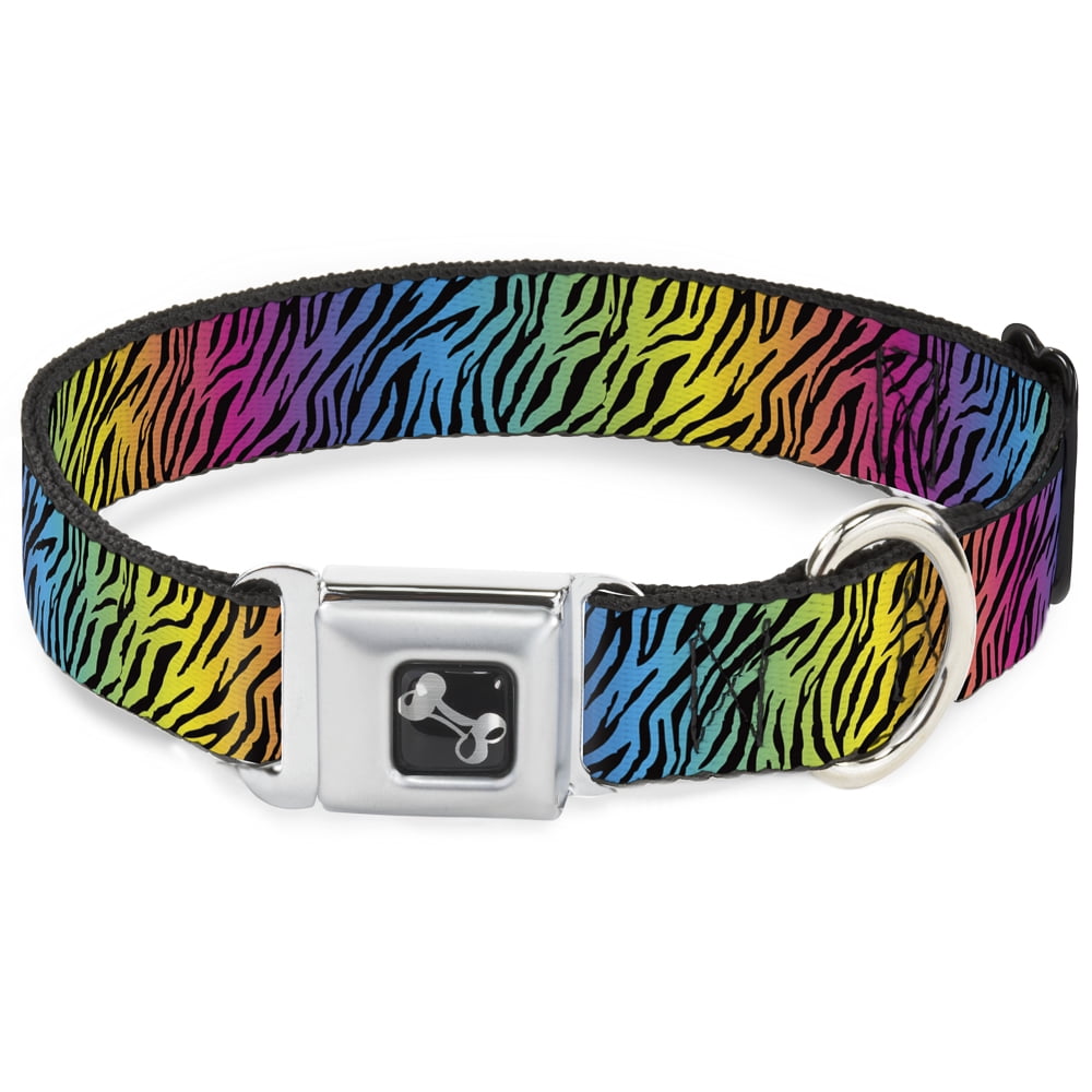 Buckle-Down Pet Collar, Dog Collar Metal Seatbelt Buckle, Zebra Rainbow ...