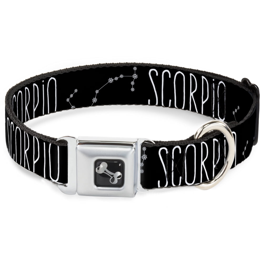 Buckle-Down Pet Collar, Dog Collar Metal Seatbelt Buckle, Zodiac ...