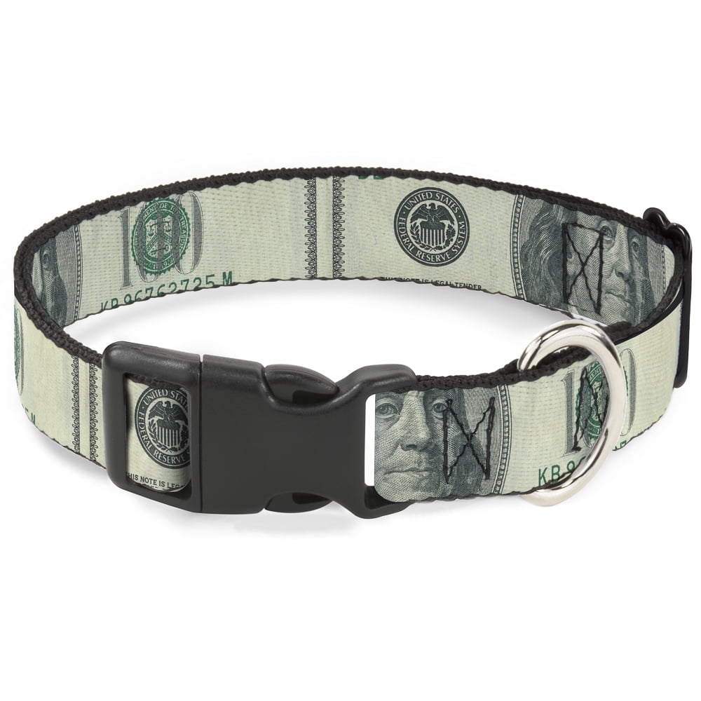 Buckle-Down Pet Collar, Dog Collar Plastic Buckle, 100 Dollar Bill ...