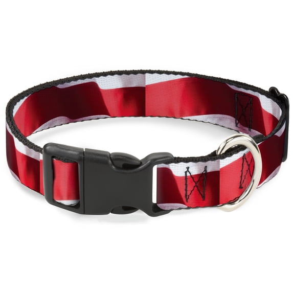 Buckle-Down Pet Collar, Dog Collar Plastic Buckle, American Flag Vivid ...
