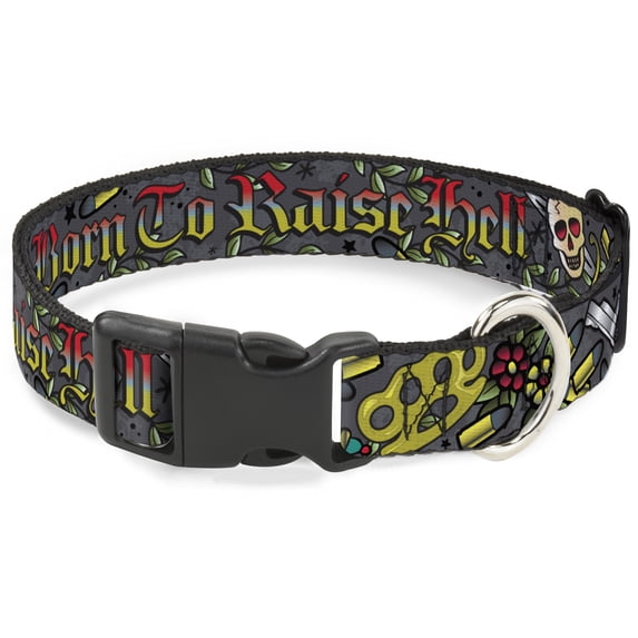 Buckle-Down Pet Collar, Dog Collar Plastic Buckle, Born to Raise Hell ...