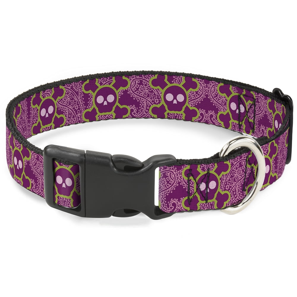 Buckle-Down Pet Collar, Dog Collar Plastic Buckle, Cute Skulls Paisley ...