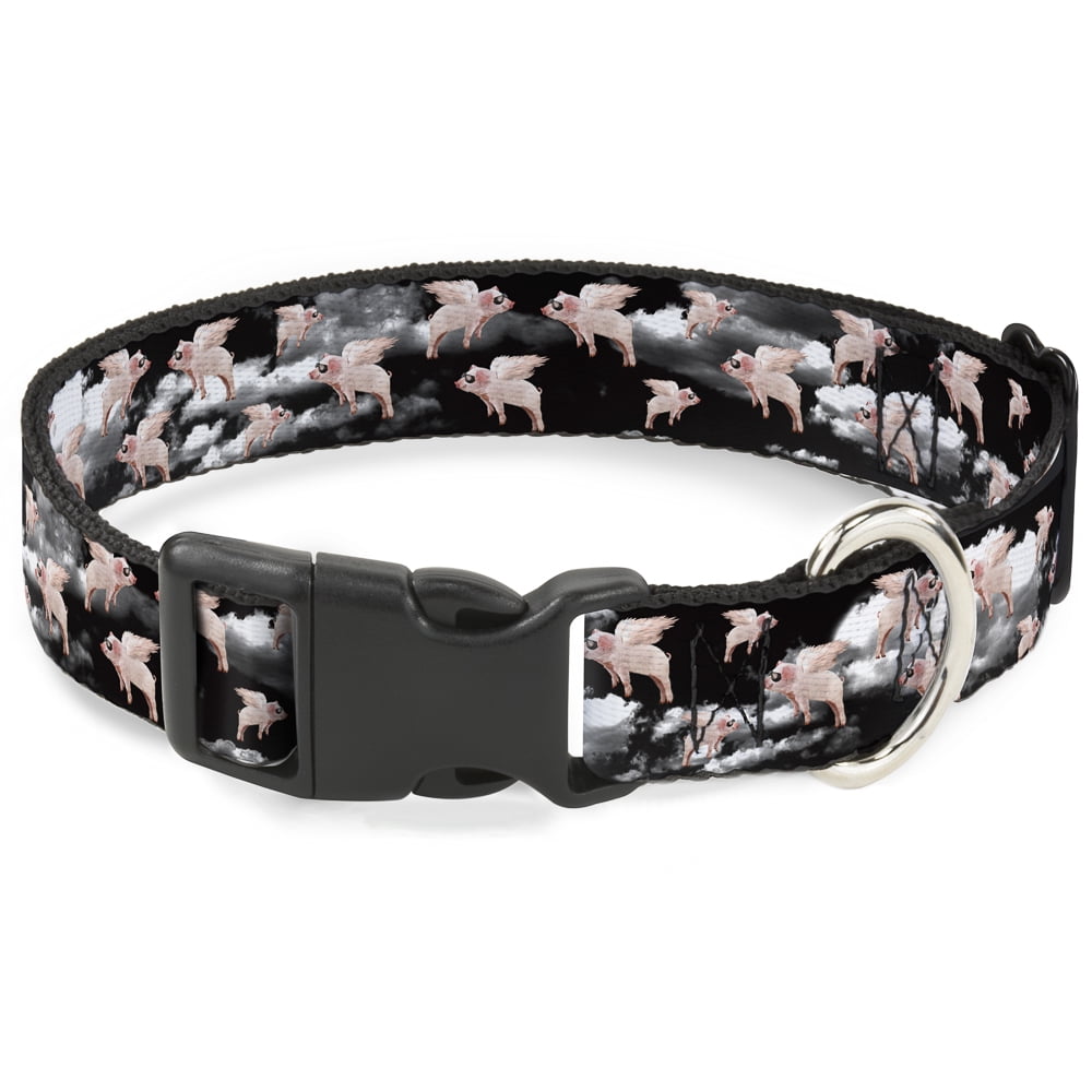Buckle-Down Pet Collar, Dog Collar Plastic Buckle, Flying Pigs Black ...