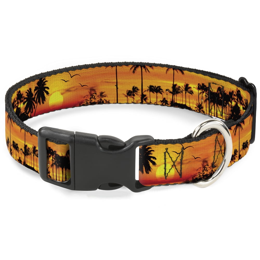Buckle-Down Pet Collar, Dog Collar Plastic Buckle, Golden Sunset, 7 to ...