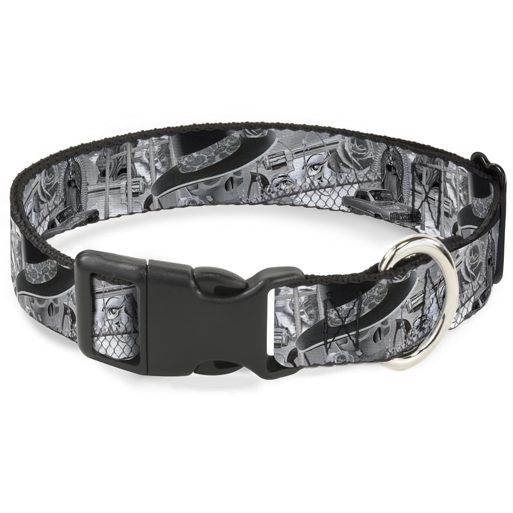 Buckle-Down Pet Collar, Dog Collar Plastic Buckle, Mi Vida Loca, 13 to 17 Inches 1.5 Inch Wide ...