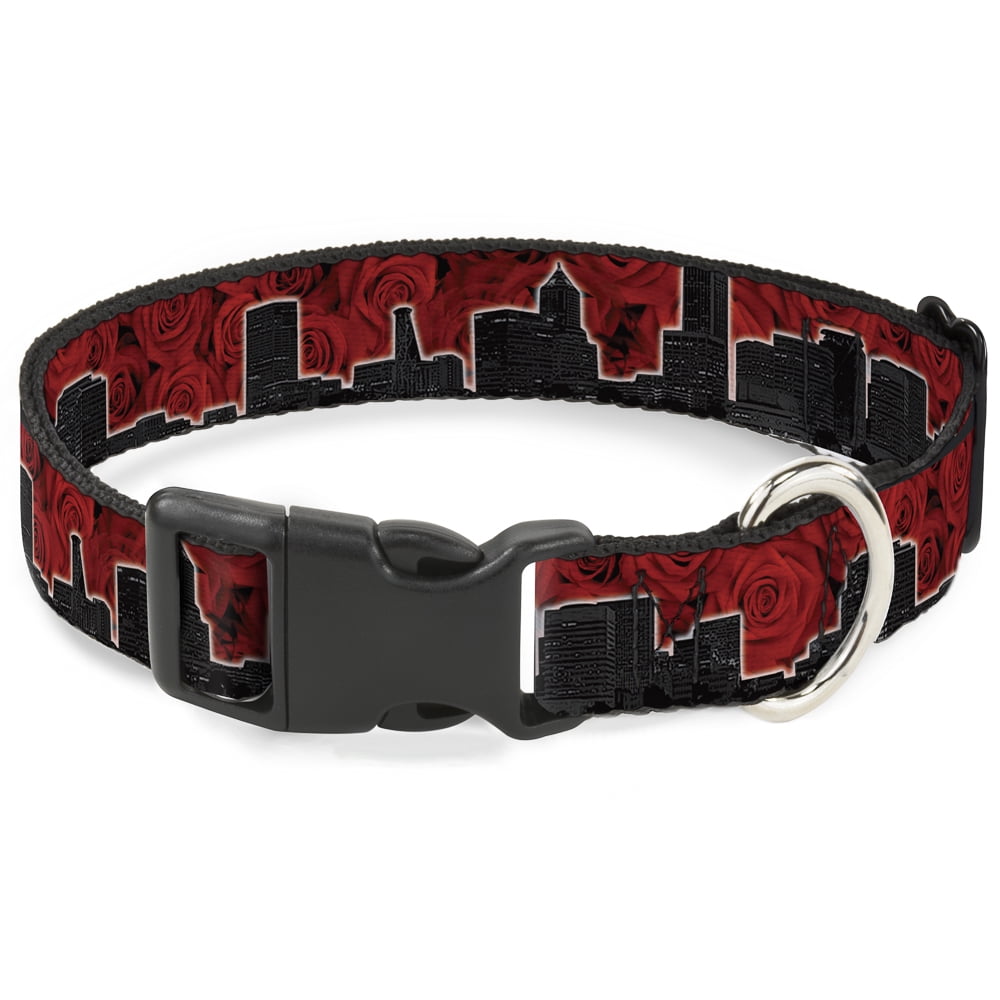 Buckle-Down Pet Collar, Dog Collar Plastic Buckle, Portland Vivid ...