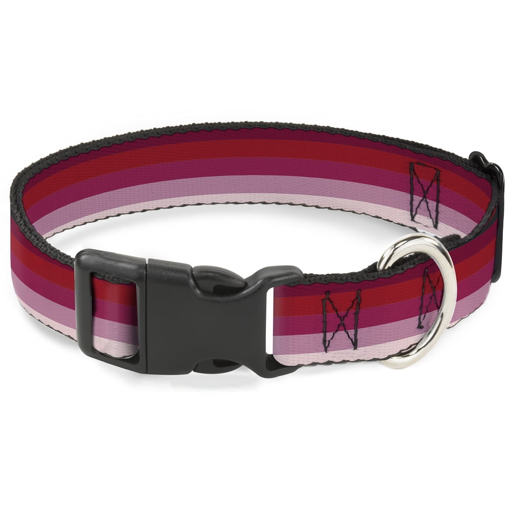 Buckle-Down Pet Collar, Dog Collar Plastic Buckle, Spectrum Pink, 13 to ...