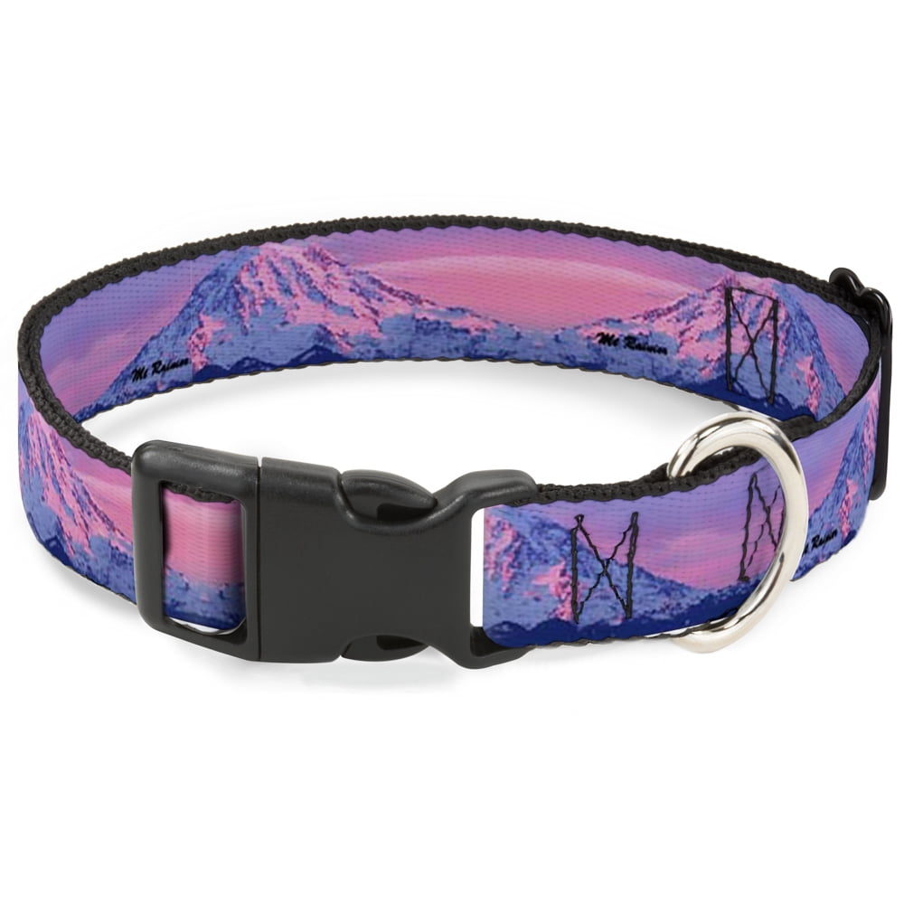 Buckle-Down Pet Collar, Dog Collar Plastic Buckle, Washington Mt ...