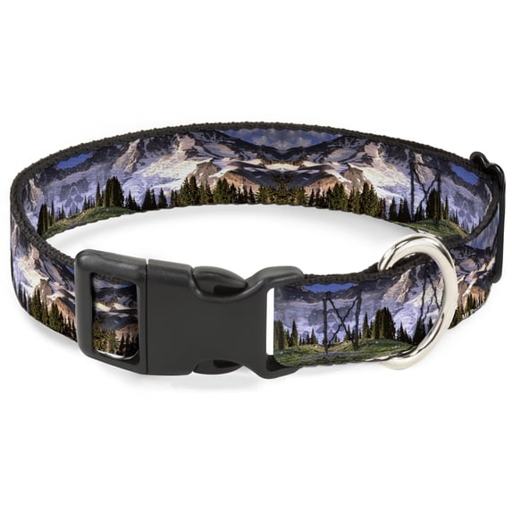 Buckle-Down Pet Collar, Dog Collar Plastic Buckle, Washington Mt ...
