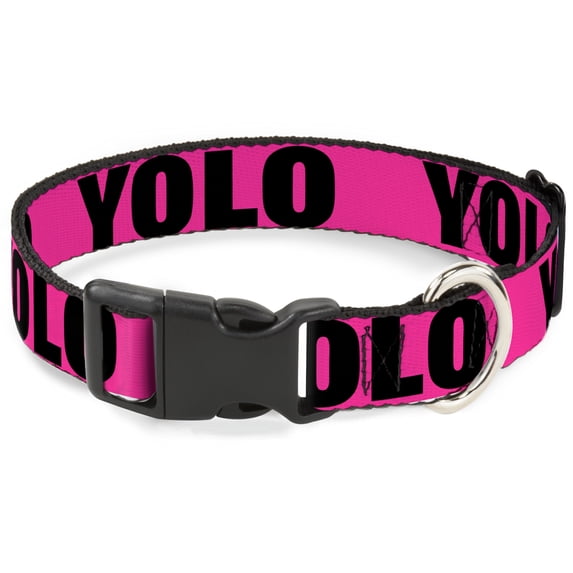 Buckle-Down Pet Collar, Dog Collar Plastic Buckle, YOLO Pink Black, 11 ...