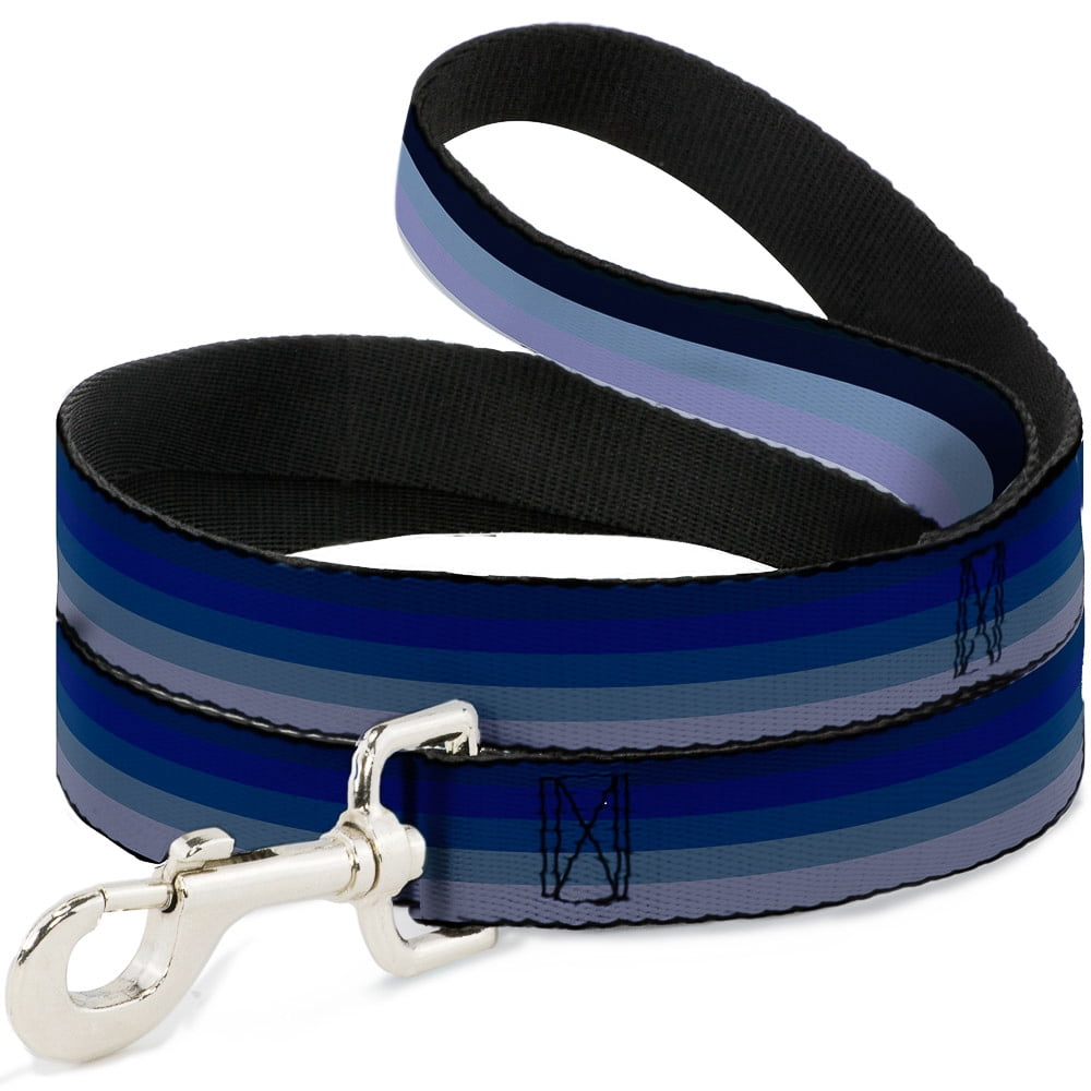 Buckle-Down Pet Leash, Dog Leash, Spectrum Blue, 6 Feet Long 1.0 Inch ...