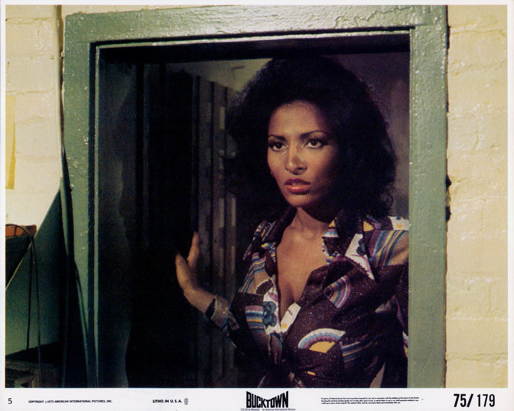 Bucktown Featuring Pam Grier 24X36 Classic Hollywood Poster - Walmart.com