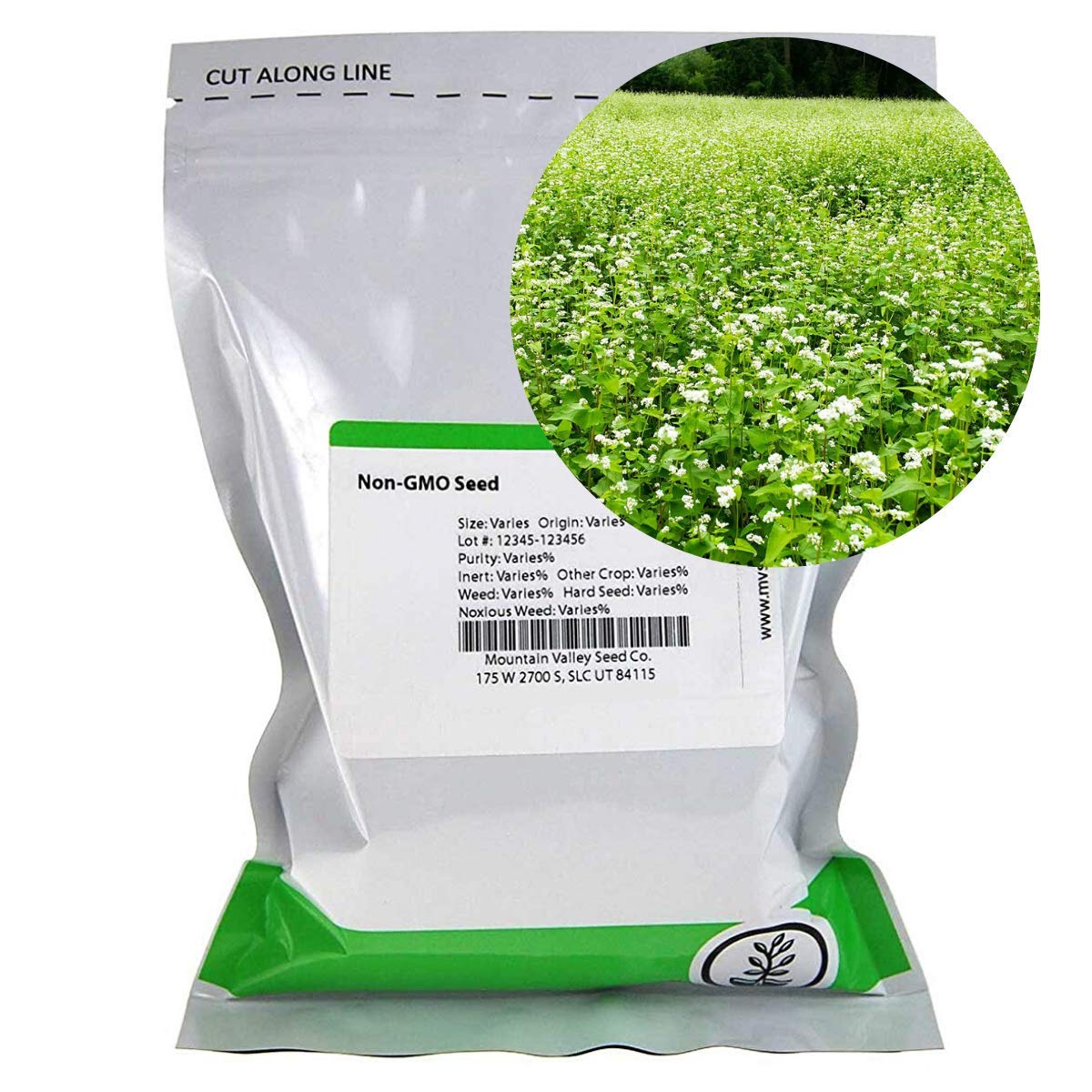 Buckwheat Seeds - 1 Lb ~15,000 Seeds MHD1- Organic, Non-GMO, Whole ...