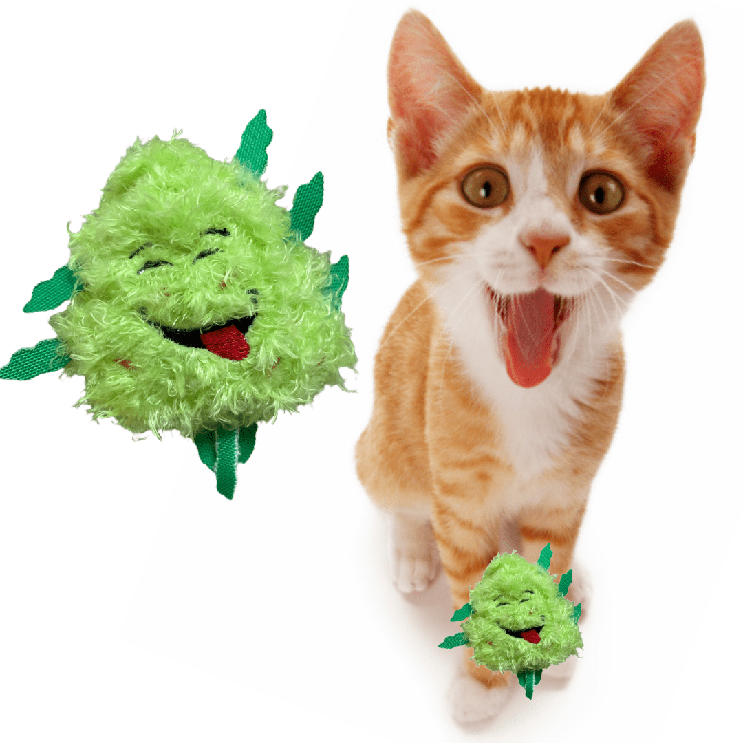 Bud Jr. the Weed Nug Funny 420 Weed Themed Cat Toy - Walmart.com