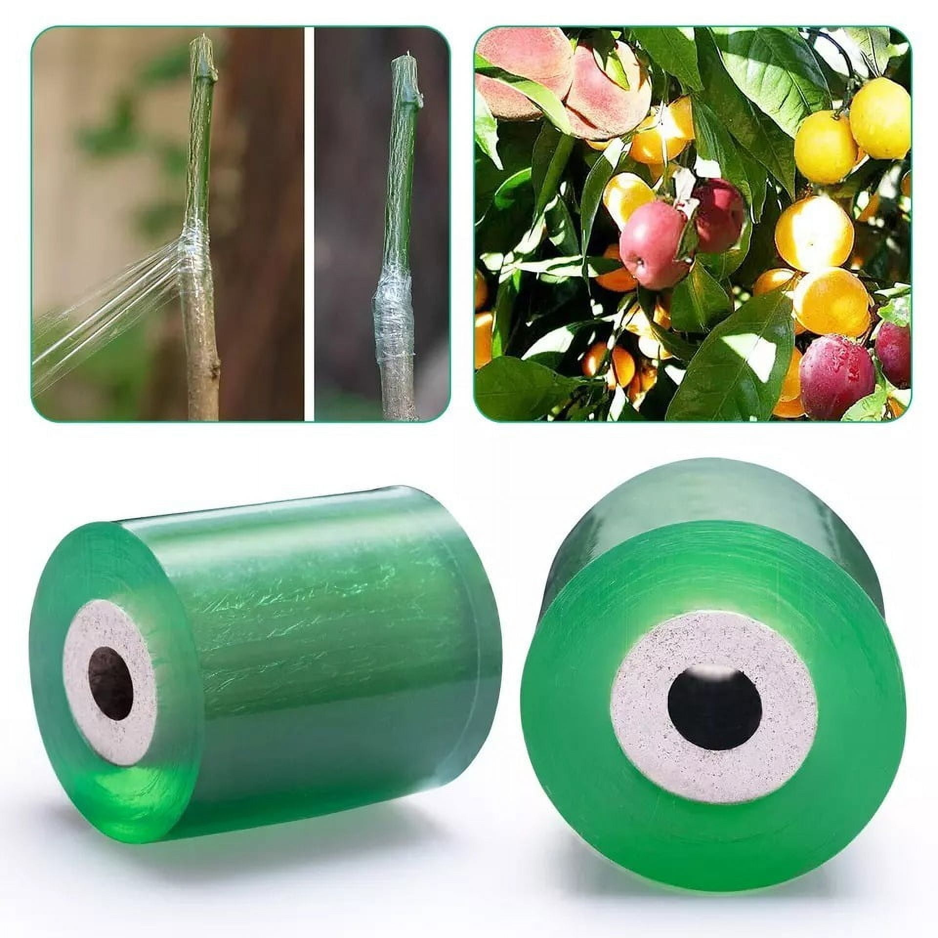 Buddy Grafting Tape for Trees Parafilm Nursery Tape Plant 5CM*110M ...