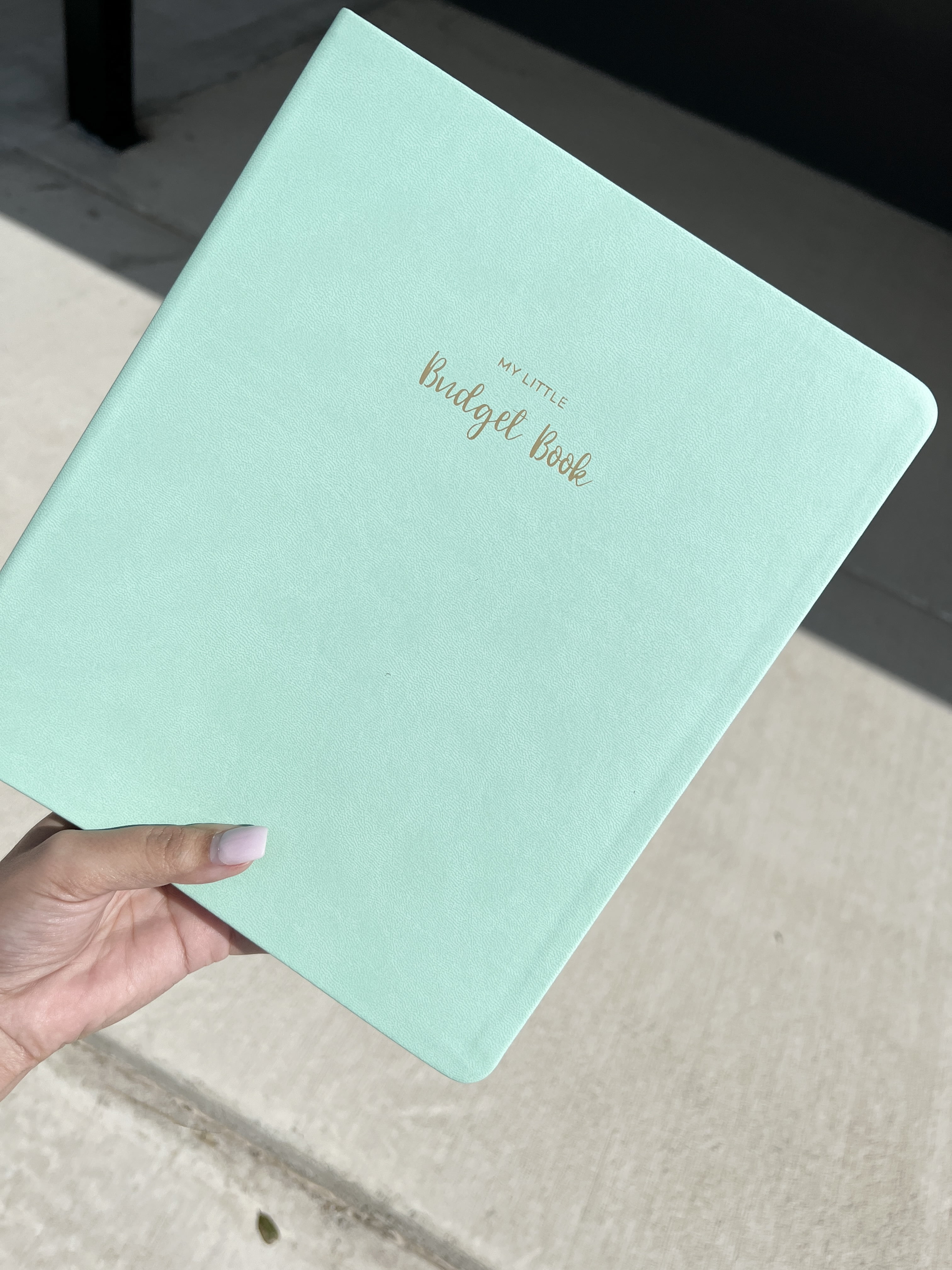 Budget Planner Book with Monthly Calendar, Debt Tracker, and Financial ...