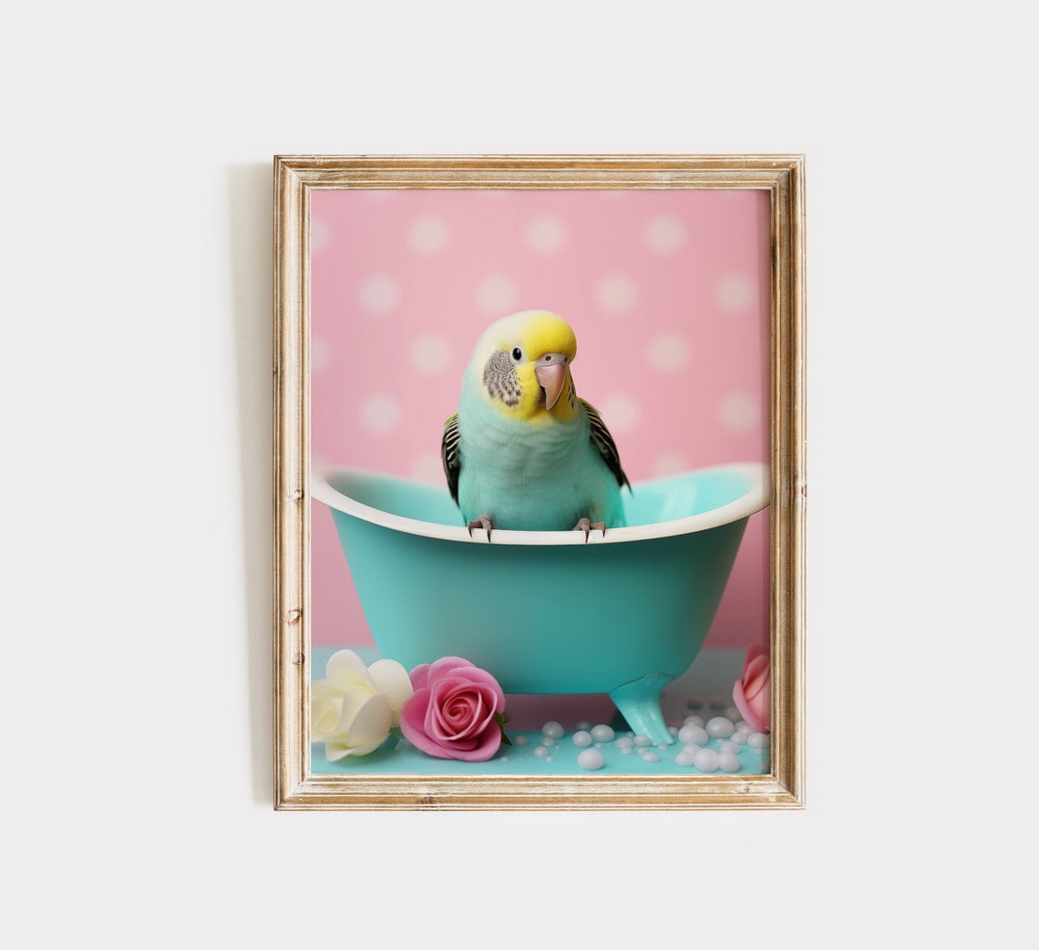 Budgie, Budgie Print, Budgie Poster, Budgie Animal Bathroom Decor ...