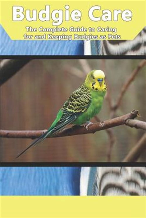 Budgie Care: The Complete Guide to Caring for and Keeping Budgies as ...
