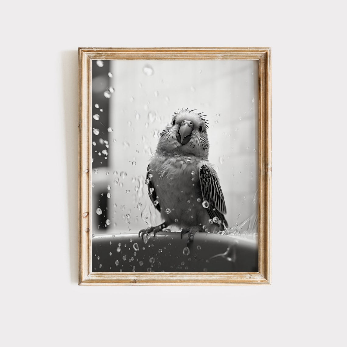 Budgie Poster Print Budgie Art Animal Bathroom Decor Black And White ...