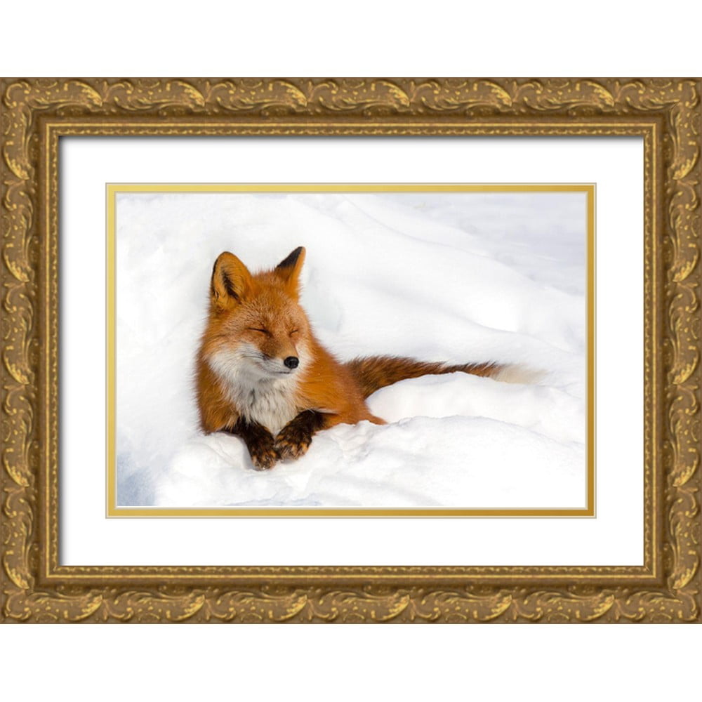 Budkov, Denis 24x17 Gold Ornate Wood Framed with Double Matting Museum ...
