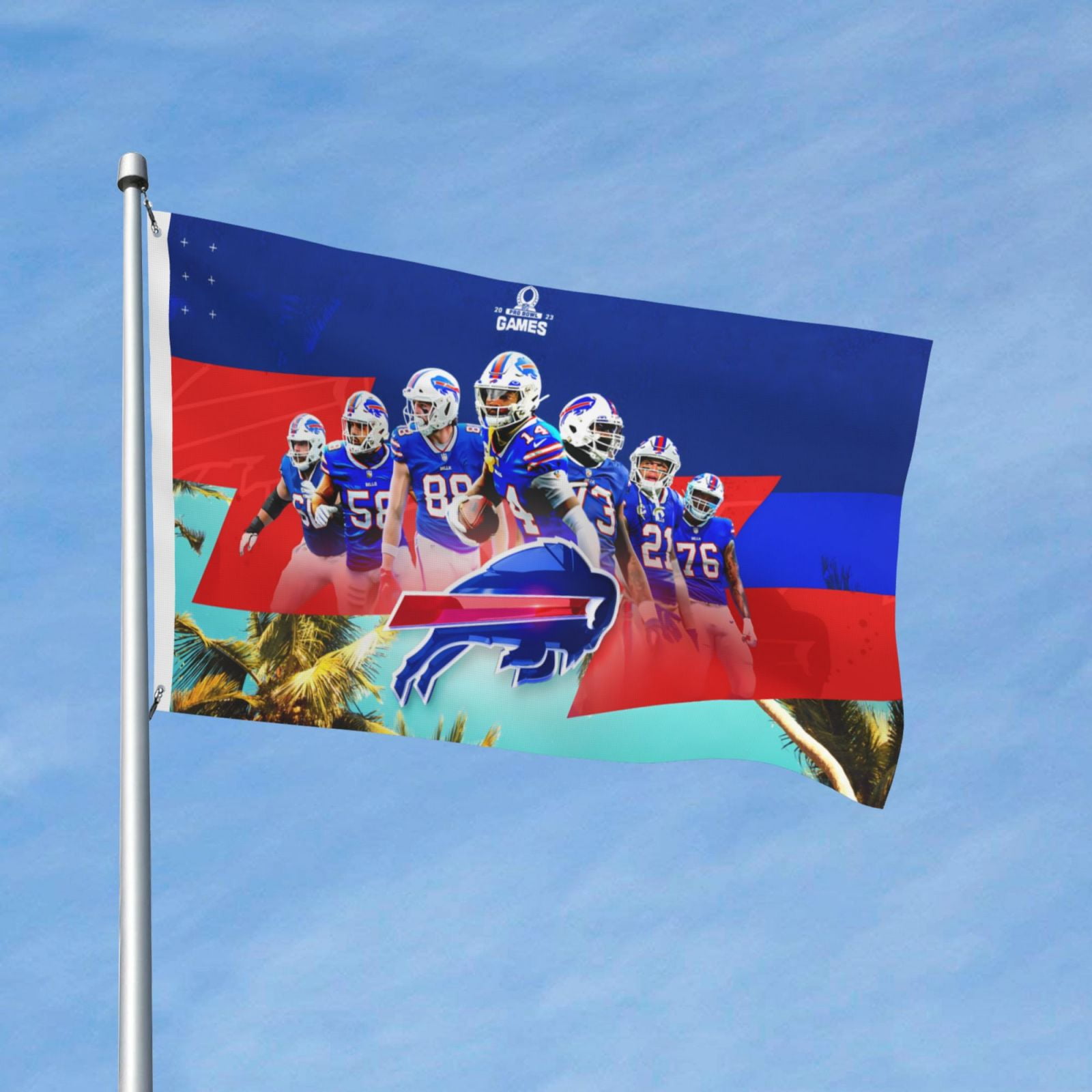 Buffalo Double Sided Outdoor Decorative Flag Support Flag Personalized ...