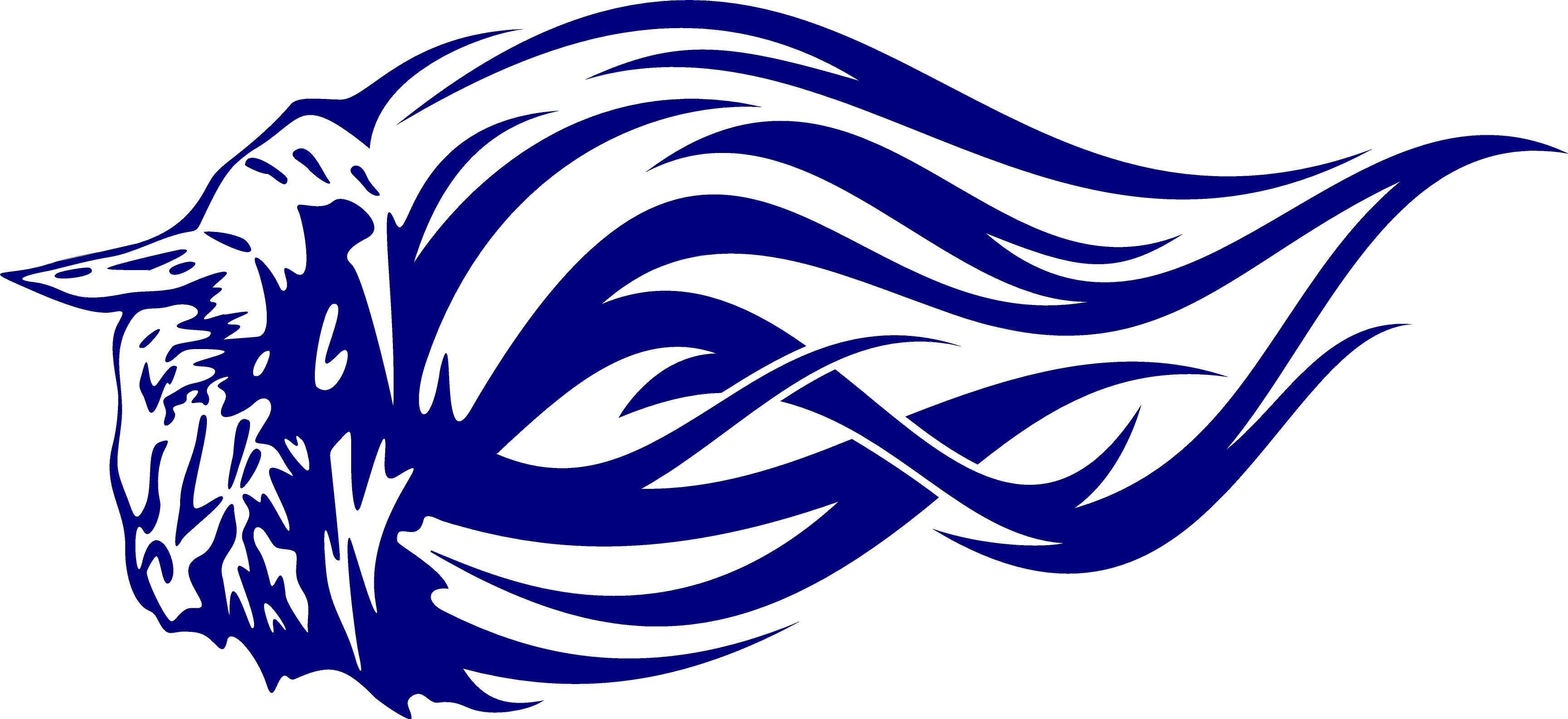 Buffalo Bison Flame Decal Auto Truck Boat Stickers AF15 - Walmart.com