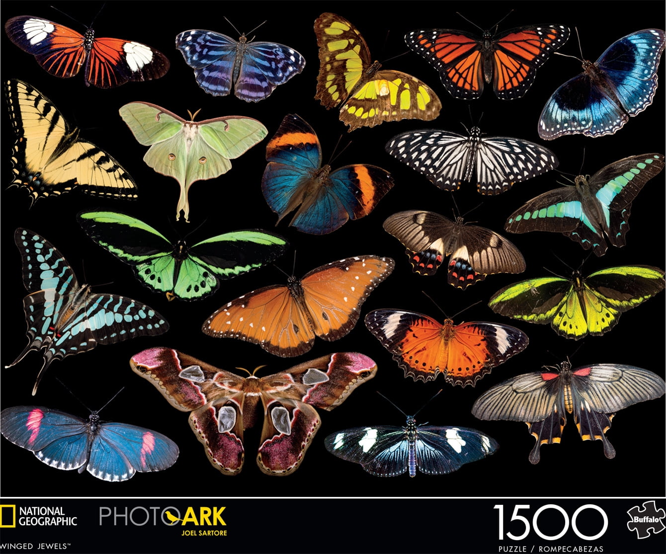 Buffalo Games 1500-Piece National Geographic Winged Jewels Interlocking ...