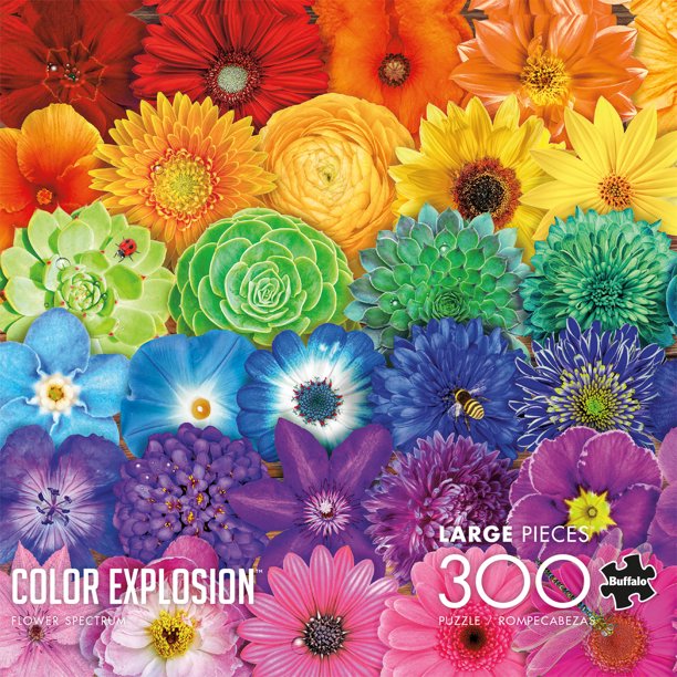 Buffalo Games - Color Explosion - Flower Spectrum - 300 Piece Jigsaw ...