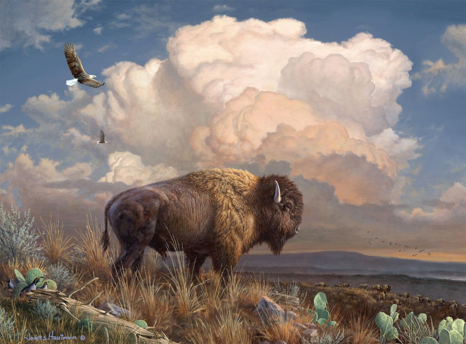 Buffalo Games - Hautman Brothers - AD01 Majestic Bison - 1000 Piece ...