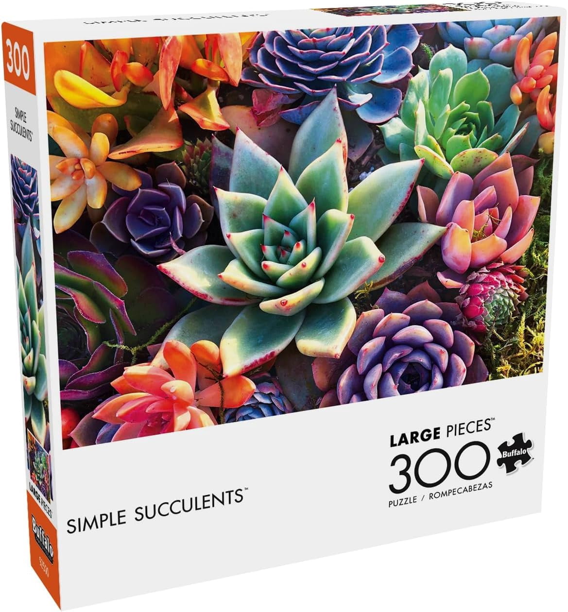 Buffalo Games - James IFF17 Mertke - Simple Succulents - 300 Piece ...
