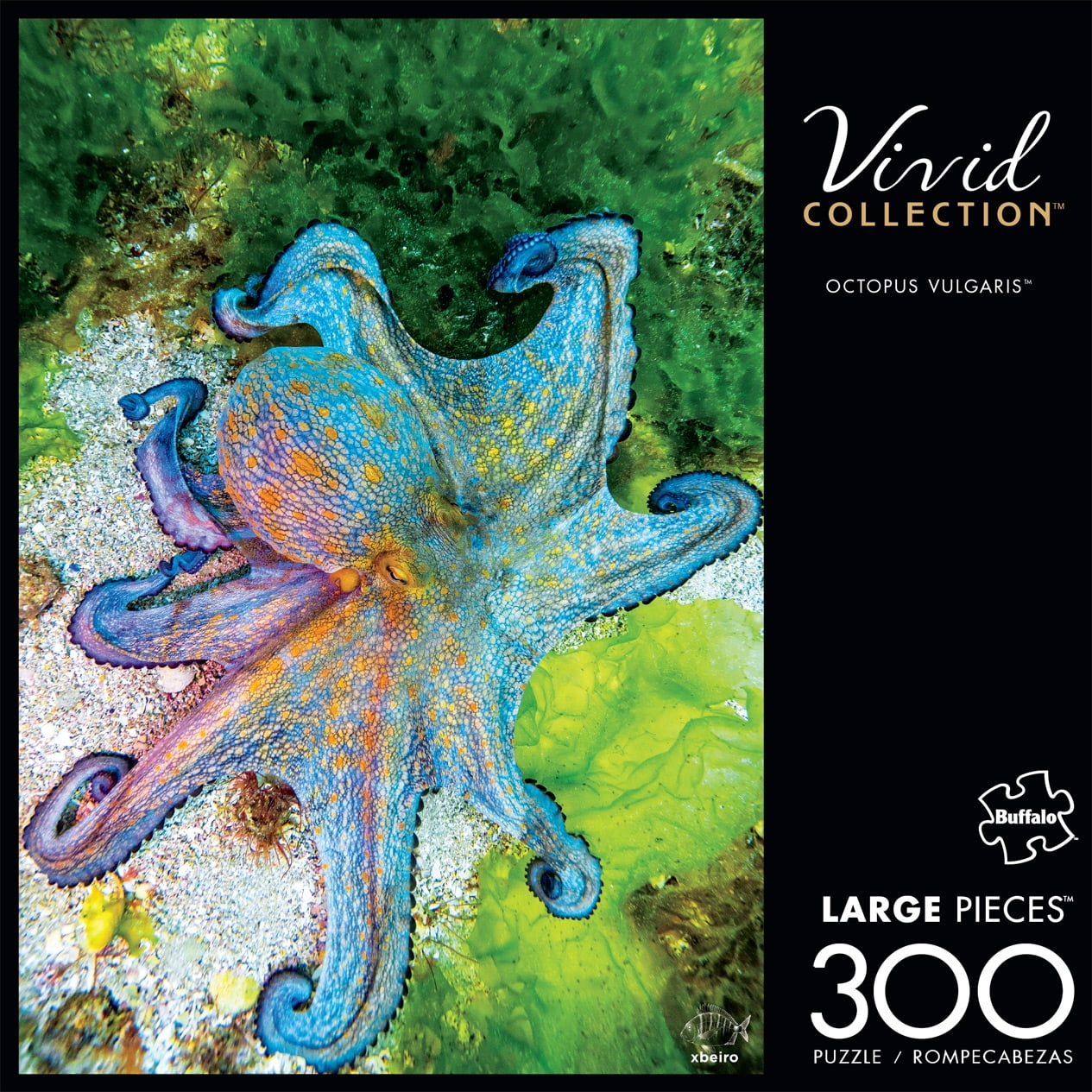 Buffalo Games Vivid Collection - Octopus Vulgaris 300 Pieces Jigsaw ...
