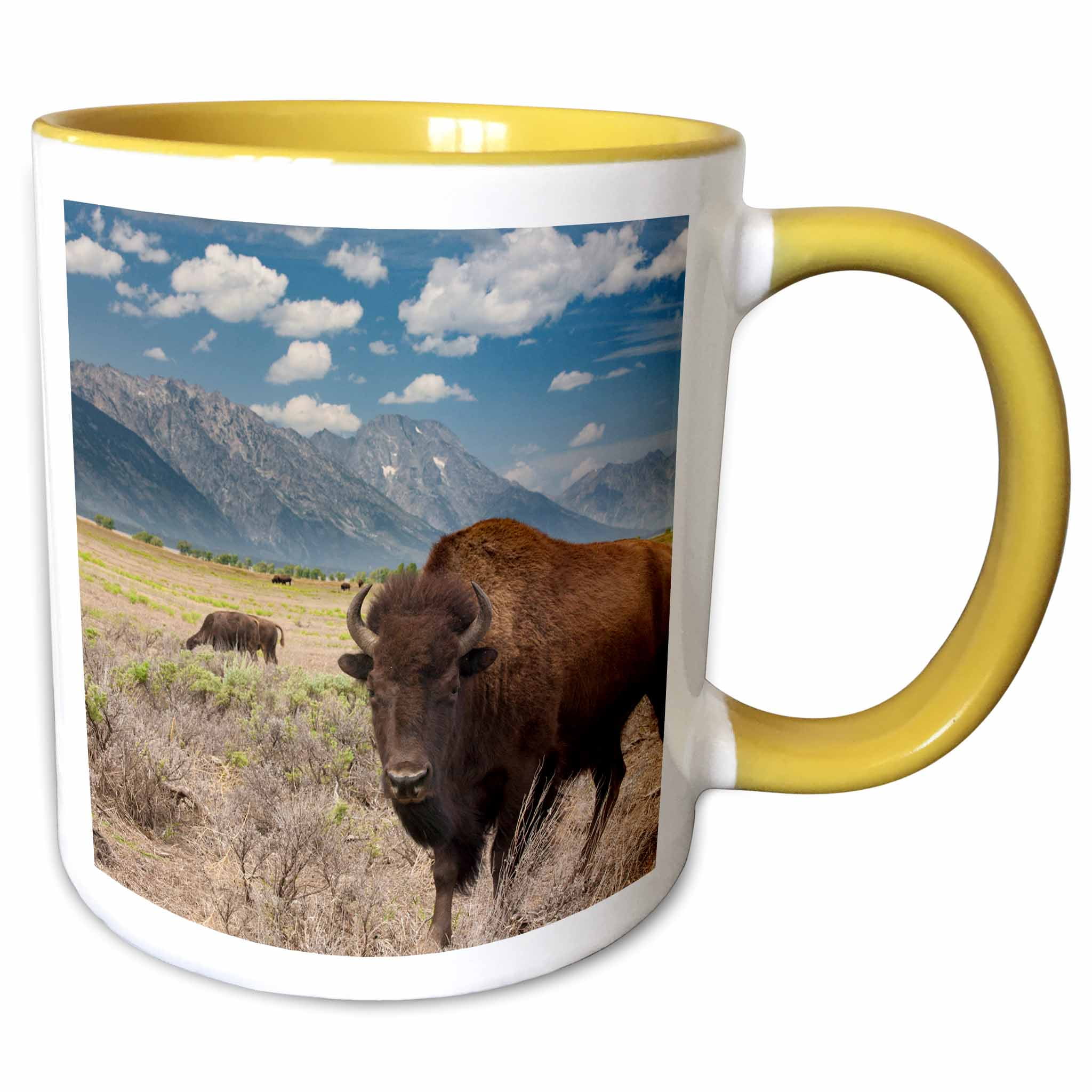 3drose, Buffalo. Grand Teton National Park, Wyoming., 15oz Two-tone ...