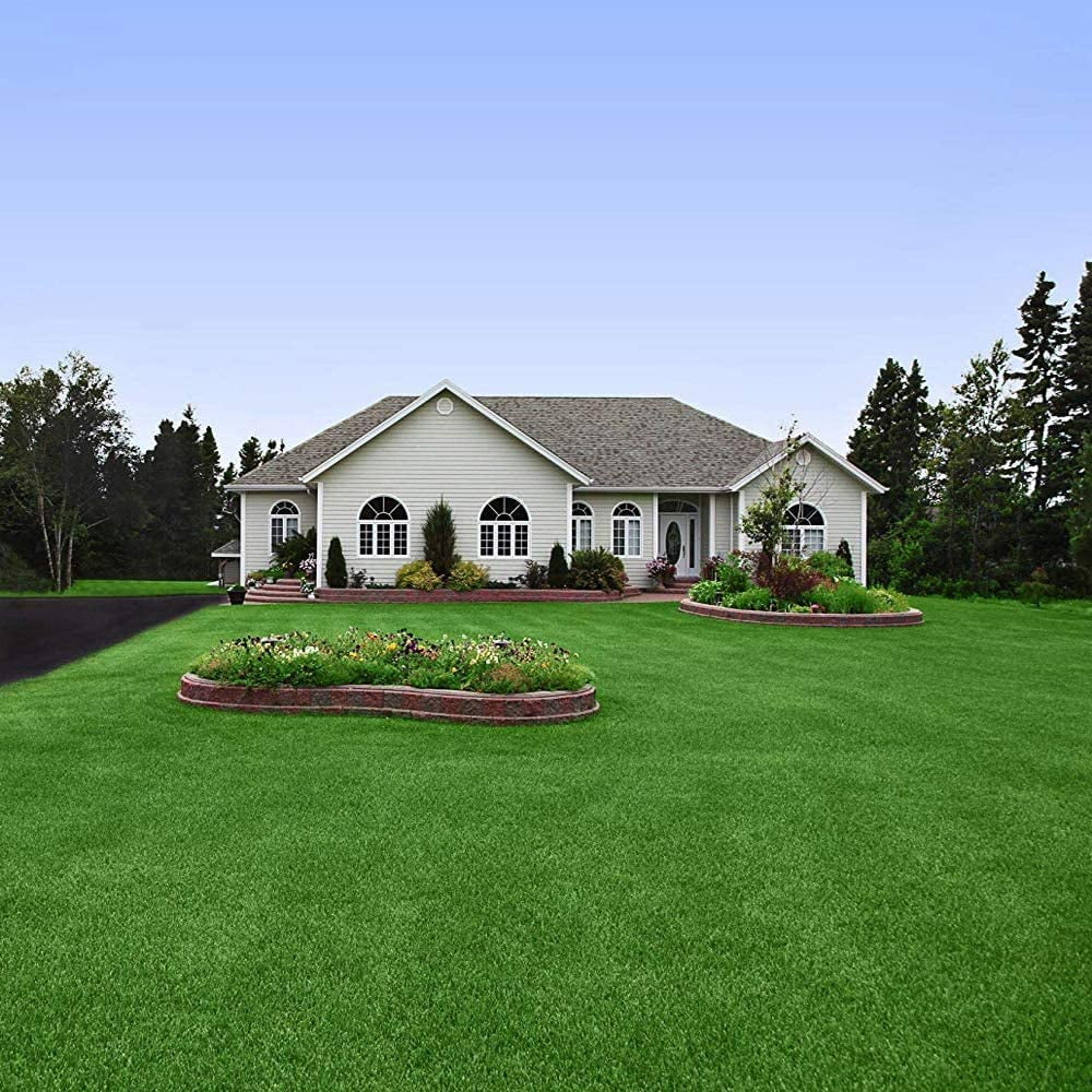 Buffalo Supreme Grass Seed Blend for Full Sun, Low Maintenance, Drought ...