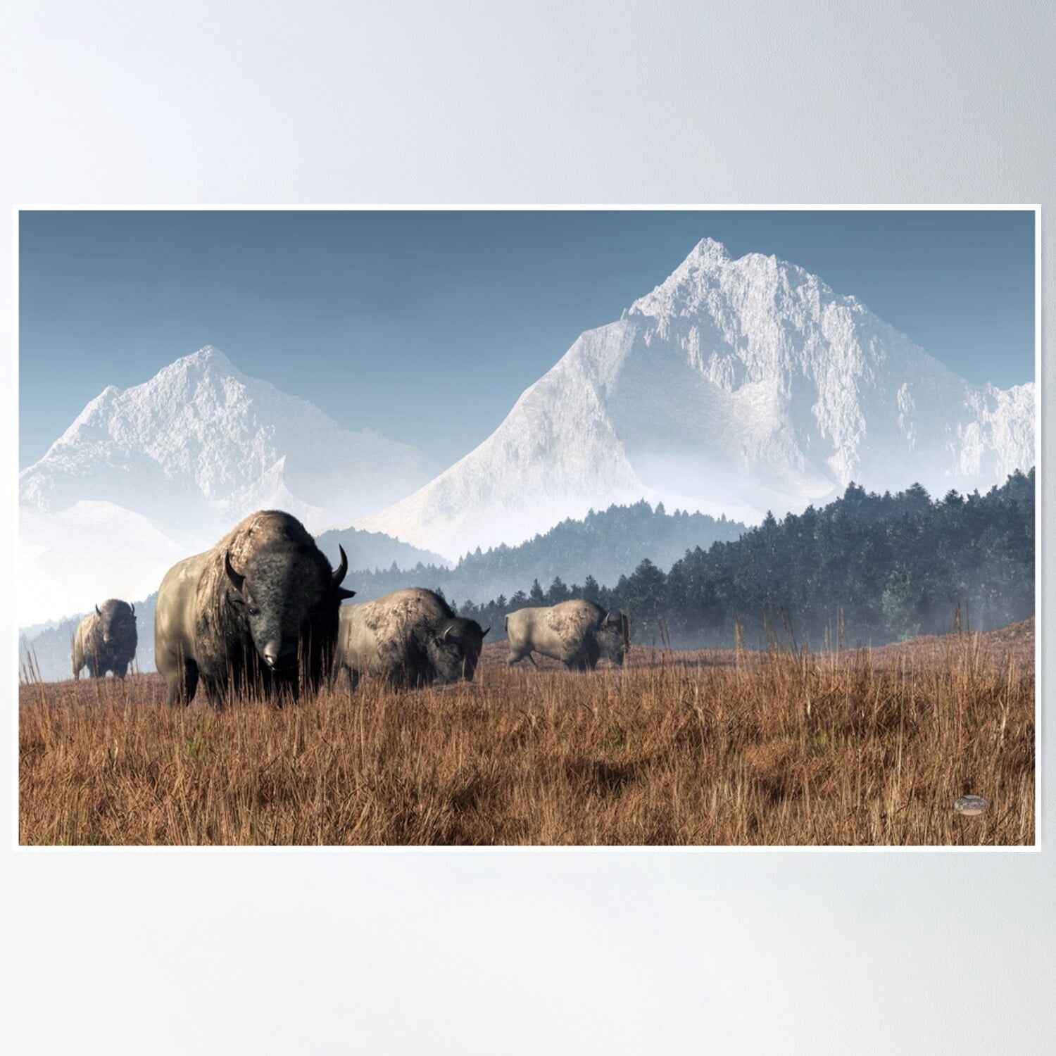 Buffalo Grazing Poster Wall Art, Modern Wall Decor, 8x12 UNFRAMED ...