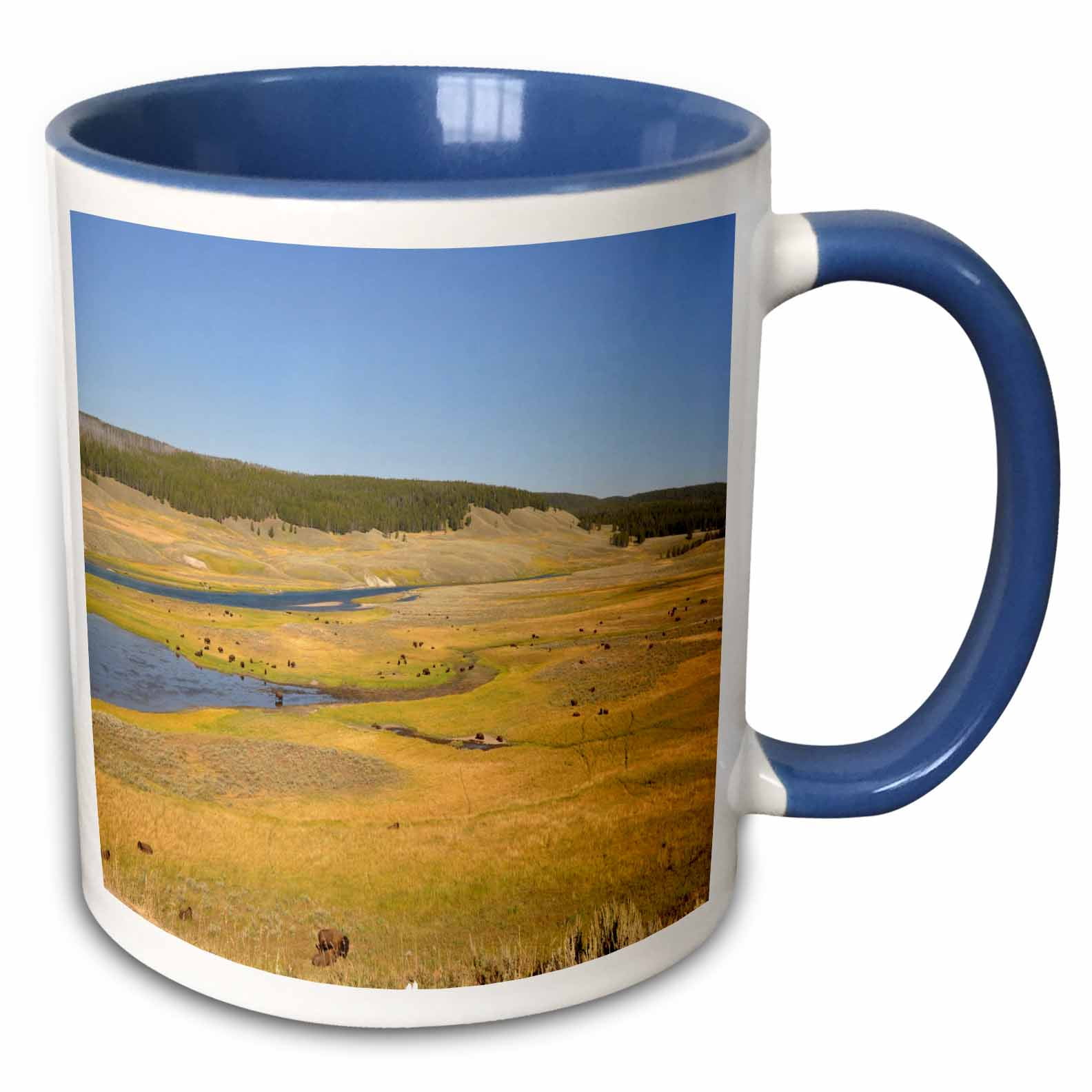 3drose, Buffalo Herd in the Valley, 15oz Two-tone Blue Mug - Walmart.com