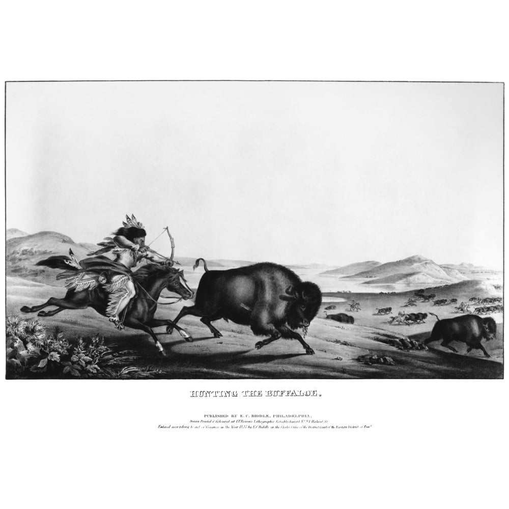 Buffalo Hunt 1837. N'Hunting The Buffaloe.' Lithograph After A Painting ...
