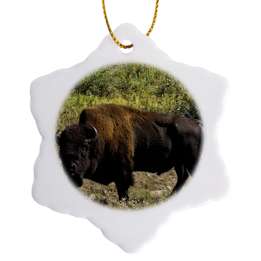 3drose, Buffalo, Wood Bison, Northwest Territories-cn06 Mde0016 - Michael Defreitas, 3 inch ...