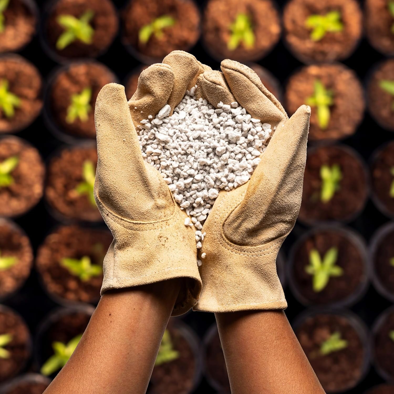 Buffered (10lbs) + Perlite Bliss (24 Qts) - Buffered Coco Coir Brick ...