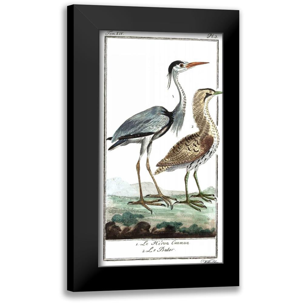 Buffon 9x14 Black Modern Framed Museum Art Print Titled - Buffon Cranes ...